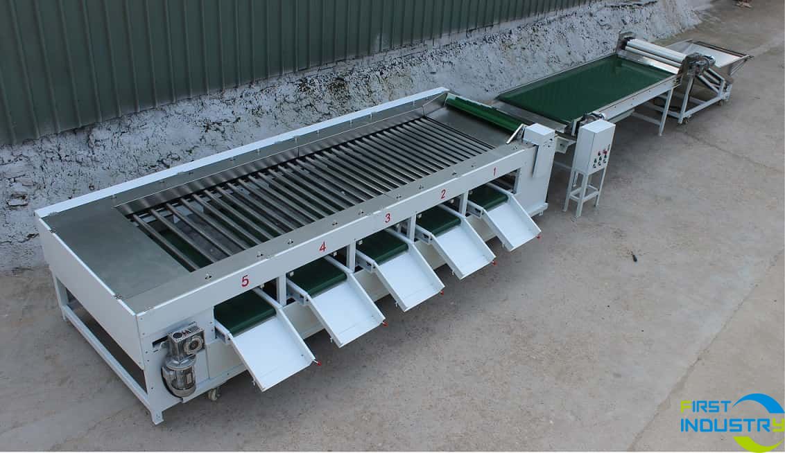 Congratulations on selling a fruit grader