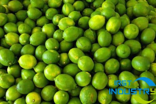 Lime graderhigh quality matching large output