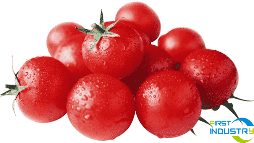 Delicious Cherry tomato in China