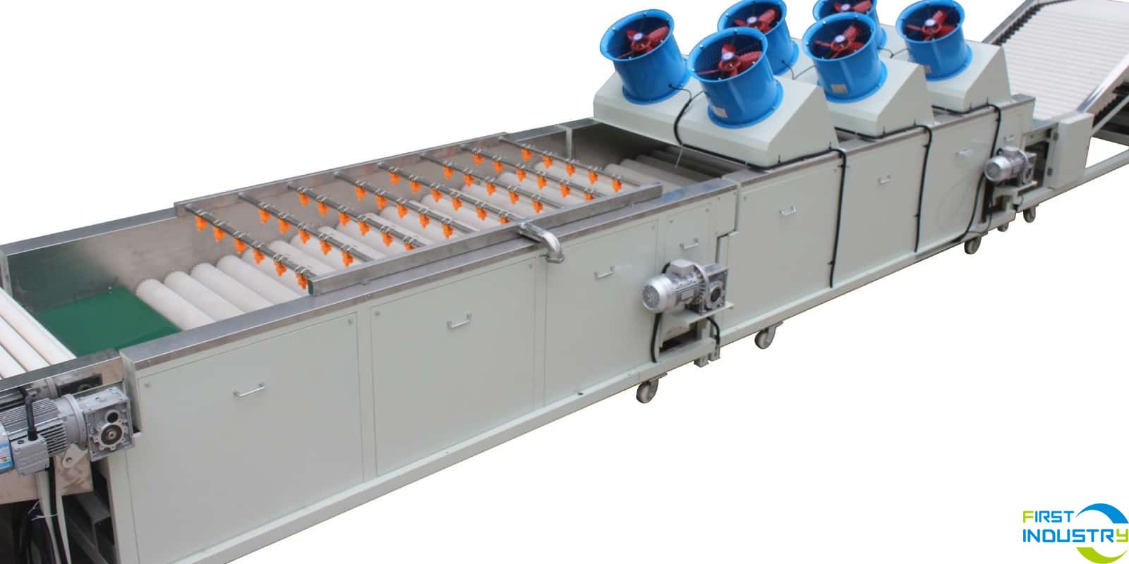 Carrot Washing Grading Machine