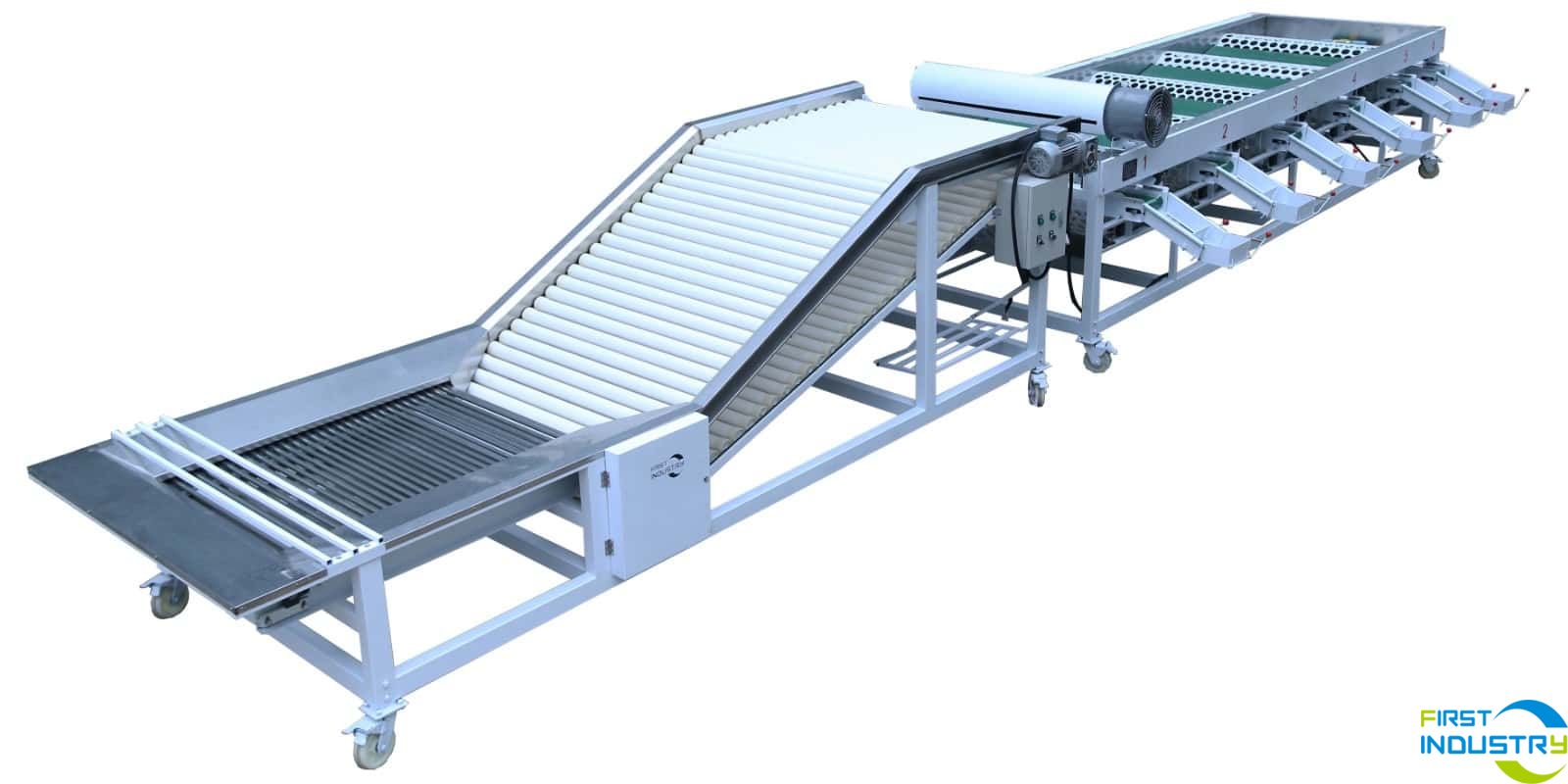 Onion Sorting Grading Machine