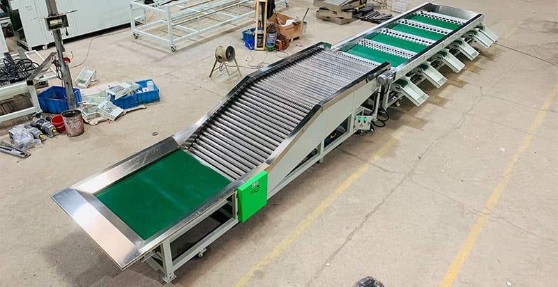 Which classifier is more suitable for tomato size sorting