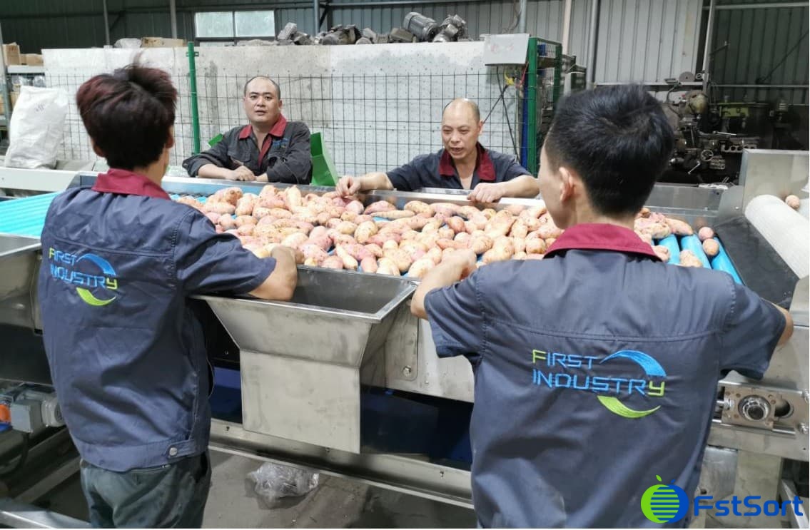 A complete design for sorting fruit manually A complete design for sorting fruit manually