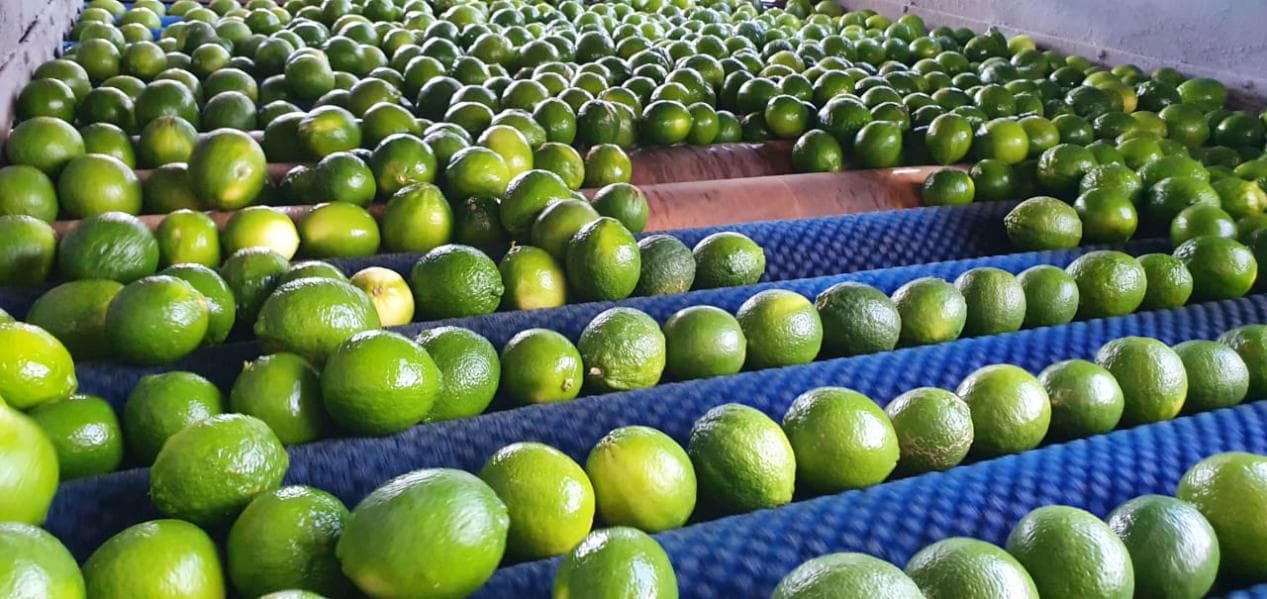 Friendly processing for lime