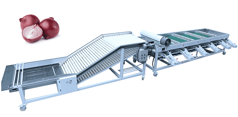 Onion Sorting Grading Machine
