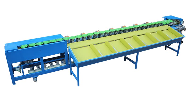 Mango Grading Machine