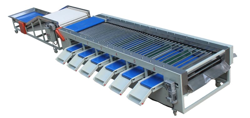 Bell Pepper Grading Machine