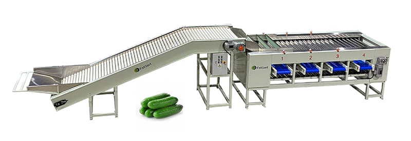 The importance of cucumber sorting