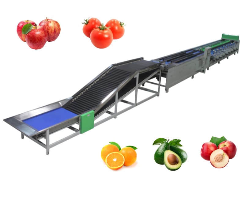 How to Select the Suitable Avocado Grading Machine