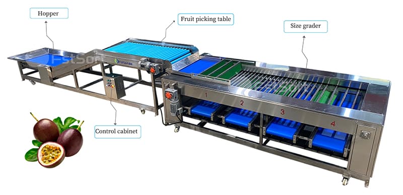 How to choose the suited passion fruit grader
