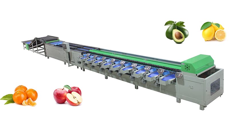 Fstsort Post-harvest Fruit Electronic Weight Sorting Machine | FstSort