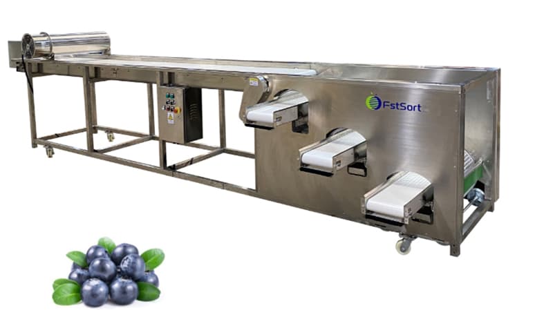 How to protect the blueberry peel powder