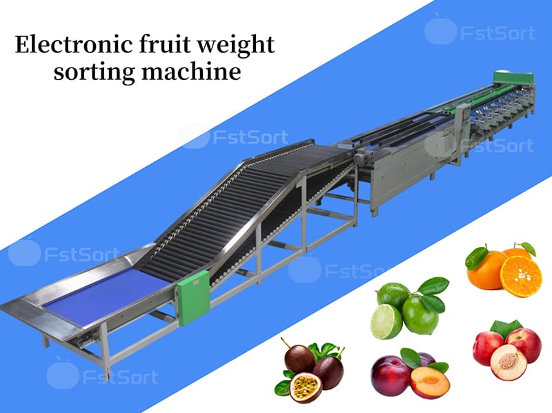A sorting equipment based on multi-species fruits and vegetables