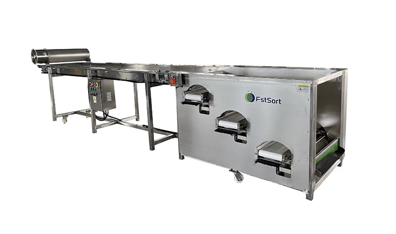 Do coffee beans need to be graded