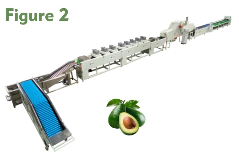 What is the status of the factory that bought the avocado line a year ago