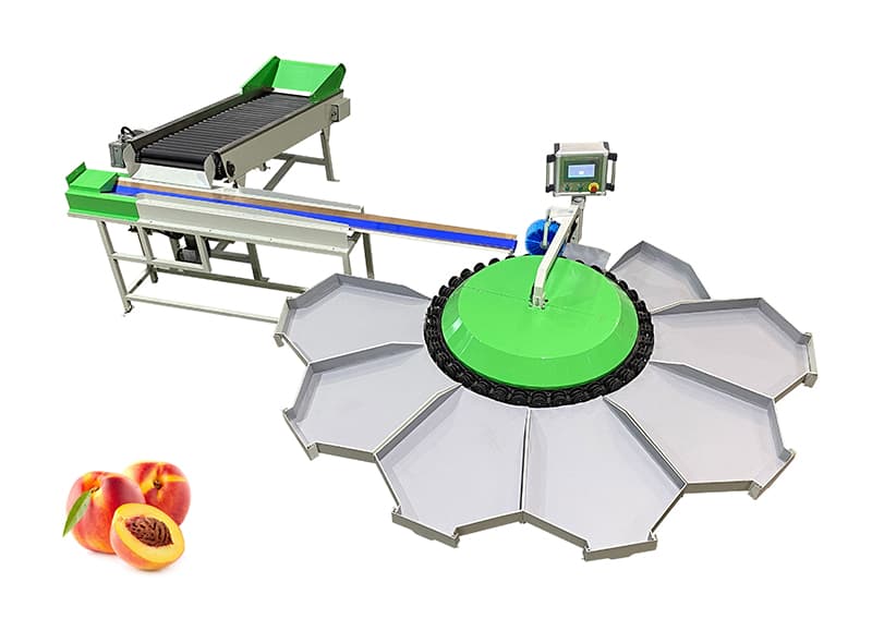 Peaches Grading Machine