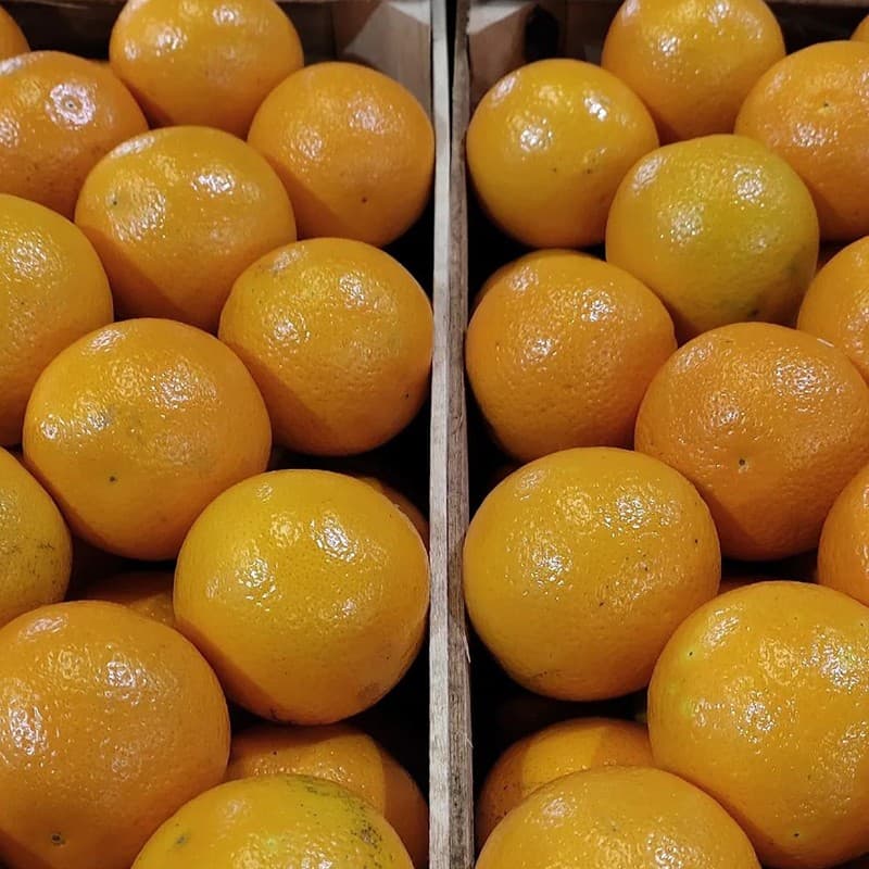 Citrus processing journey