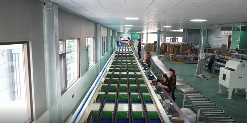 FstSort's four-channel fruit sorting line makes a stunning debut