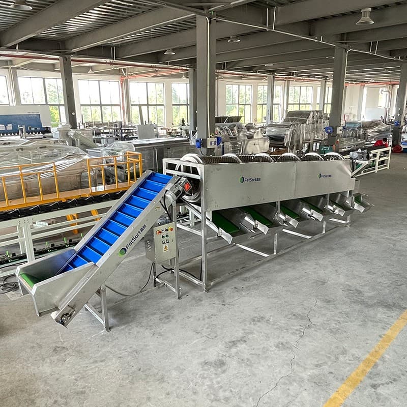 Walnuts grading machine