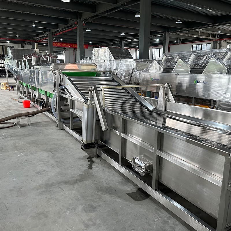 Fruit and vegetable cleaning and air drying machine