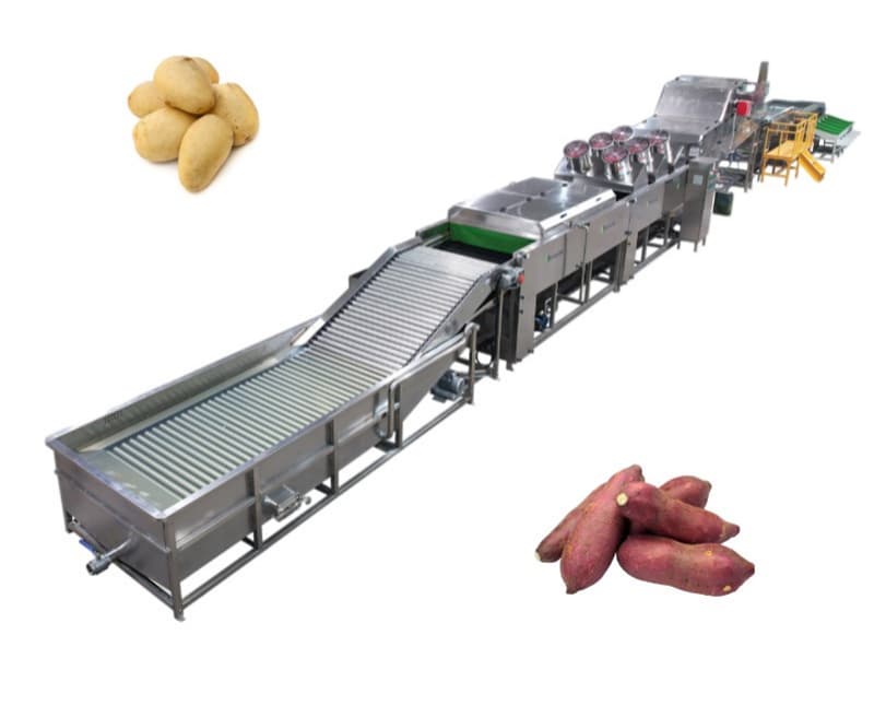 Why Customers Choose Our Sweet Potatoes Grading Machine