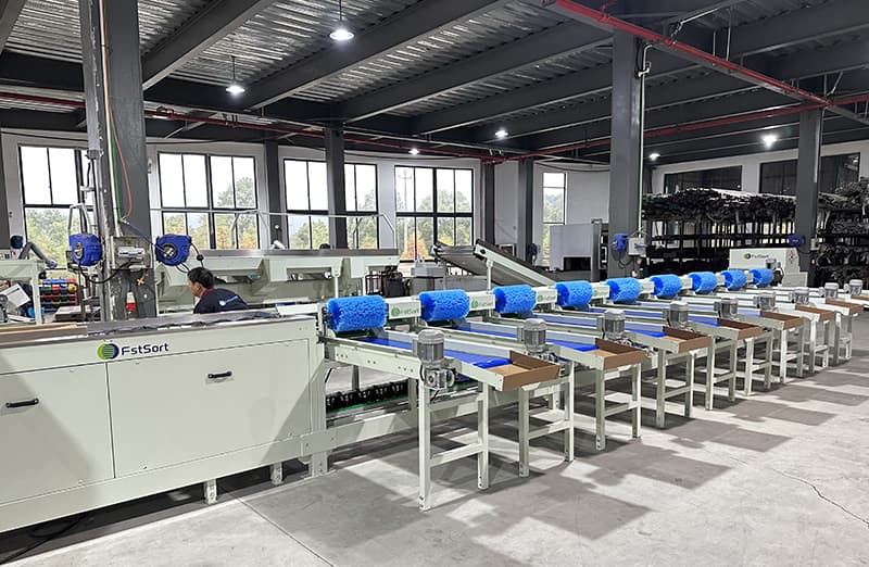Why multi-functional dragon fruit sorting opportunity to replace manual ...
