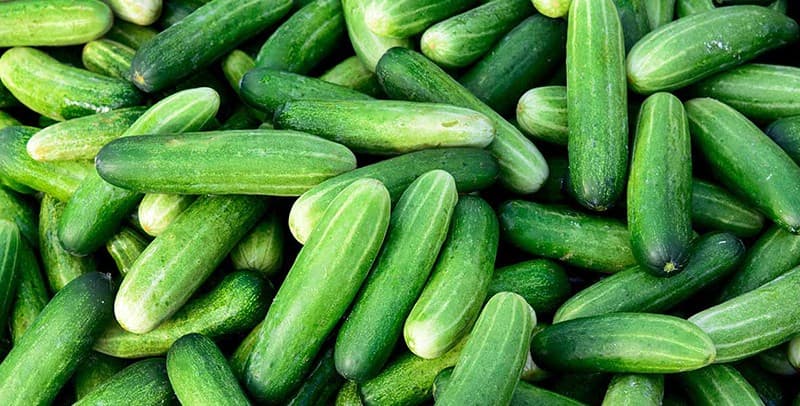 How important it is to sort cucumber properly