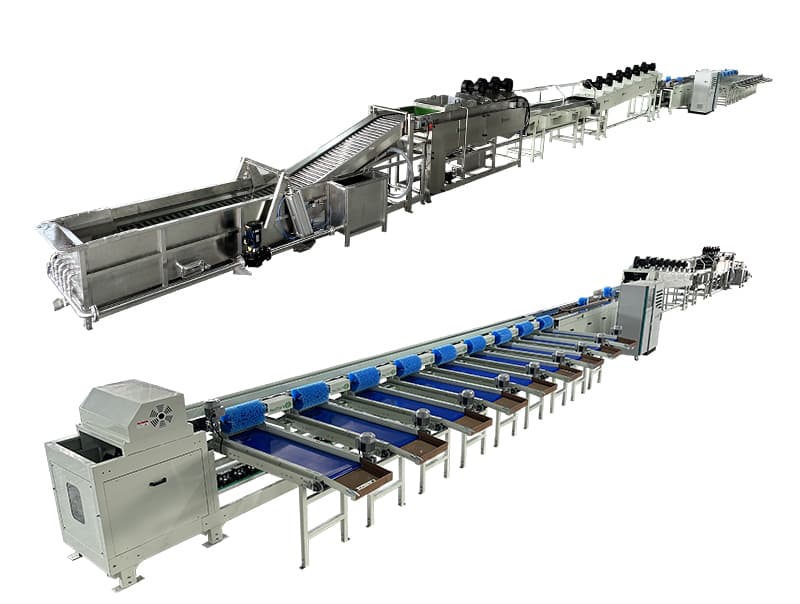 Mango Grading Machine