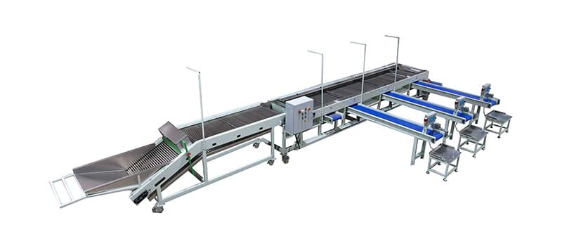 Cherry Tomato Grading Machine