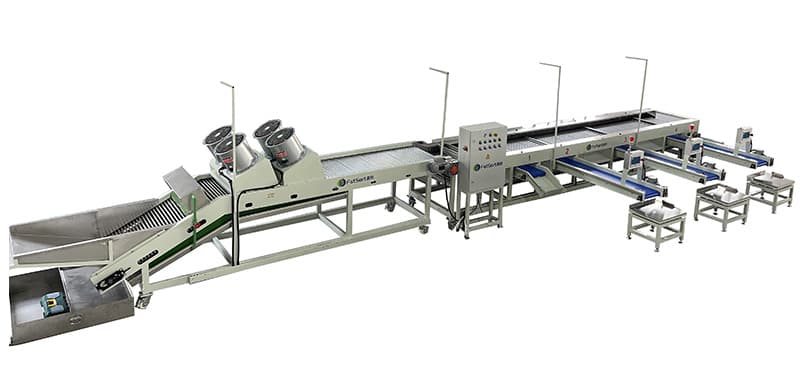 Cherry Tomato Grading Machine
