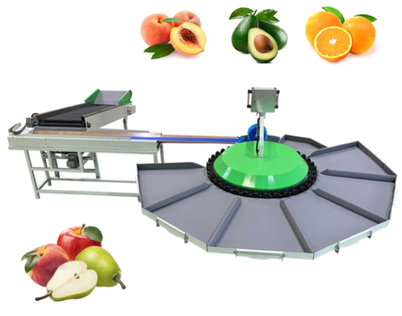 How to sort avocados efficiently for the smallholder farmer in Kenya