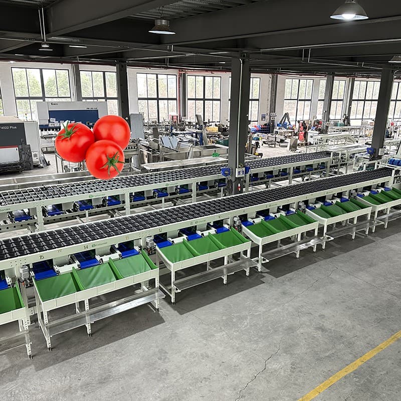 Four-channel Sorting Machine | FstSort