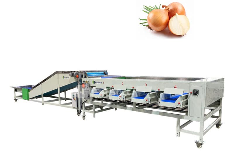 What Are the Benefits of Using an Onion Grader in Your Business