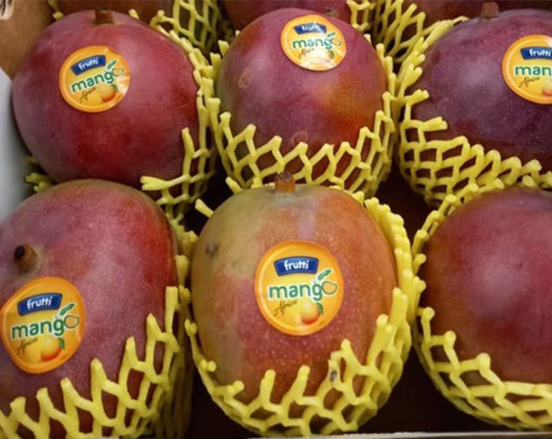 How Senegalese mango producers are preparing for export