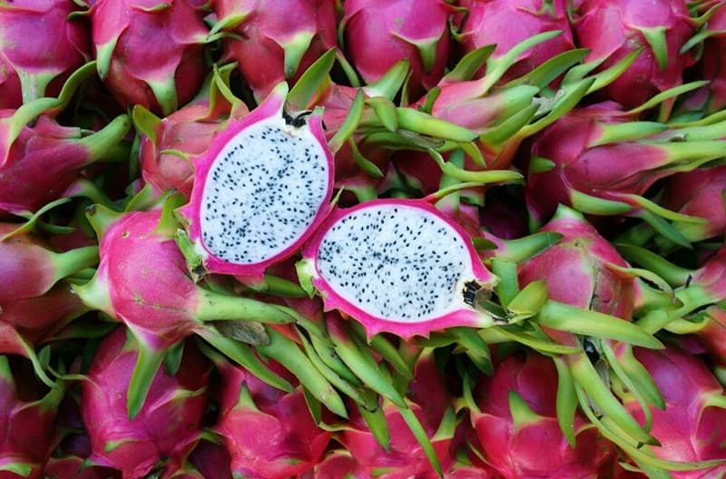 Fruits have been delivered to Wenzhou Port China