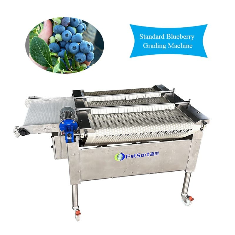 How to quickly sort the size of blueberries