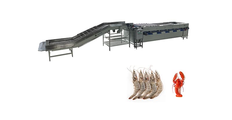 Sorting machine for lobsters