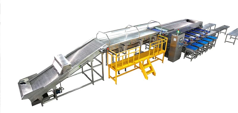 Cherry Tomatoes sorting and packaging machine | FstSort