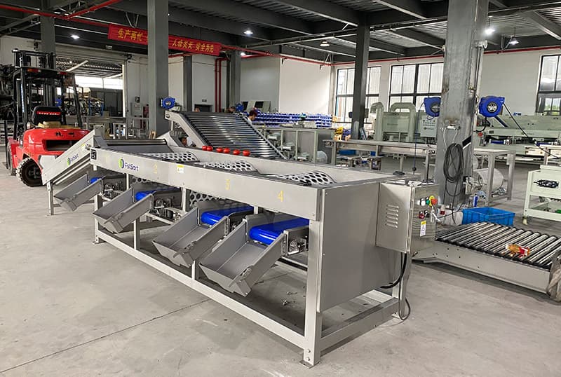 Saffron Corms Sorting Machine