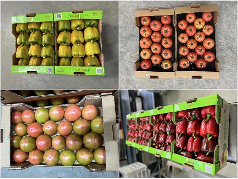 Fruits and vegetables packing line