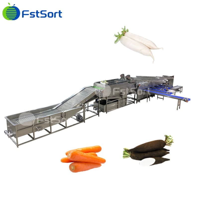Radish sorting grading machine