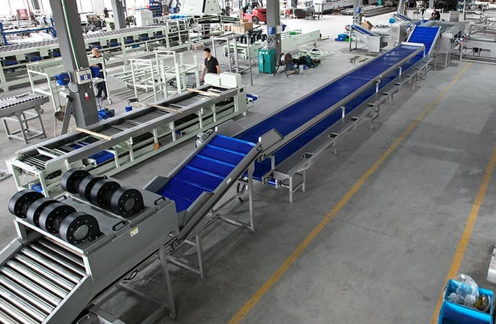 Broccoli Washing Drying and Grading Line