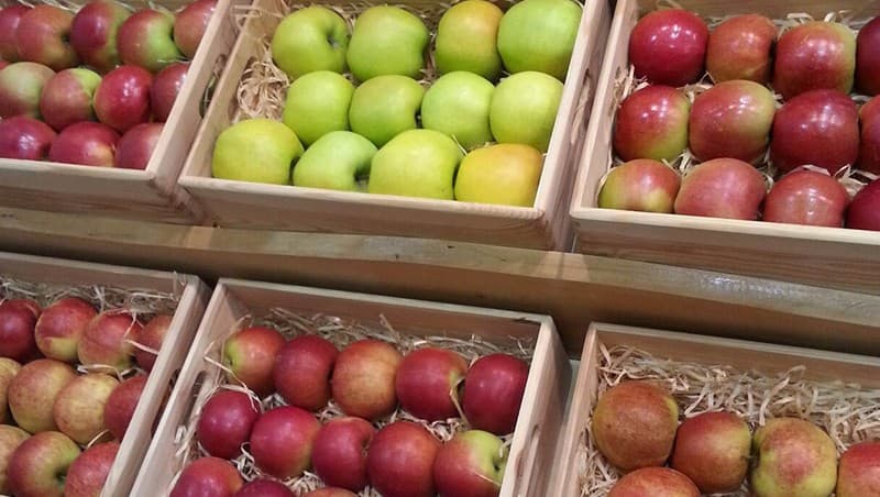 What is the grading and sorting of apples