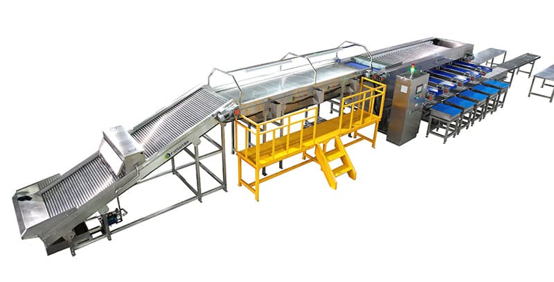 Cherry Tomato Grading Machine