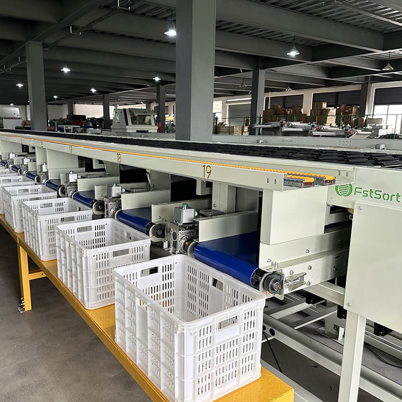Four-Channel Bell Pepper Washing Drying and Weight Sorting Line