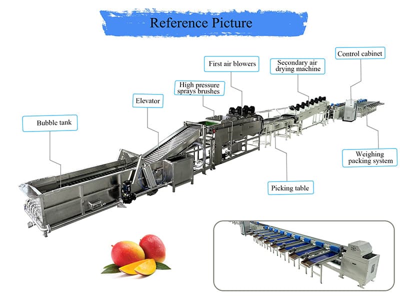 How to efficiently sort mangoes by weight