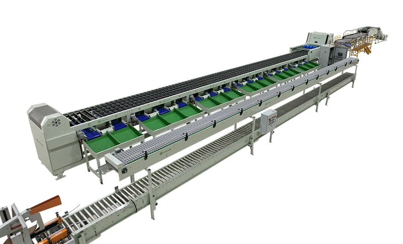 Automatic Weight Sorting Machine