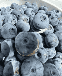 Blueberry sorting machine