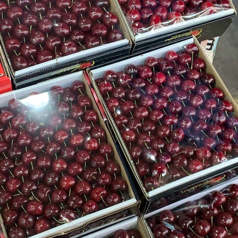 Why are Chilean fruits so popular in China