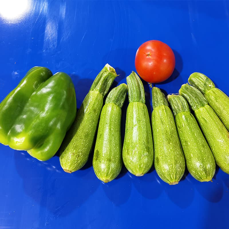 Zucchini sorting machine